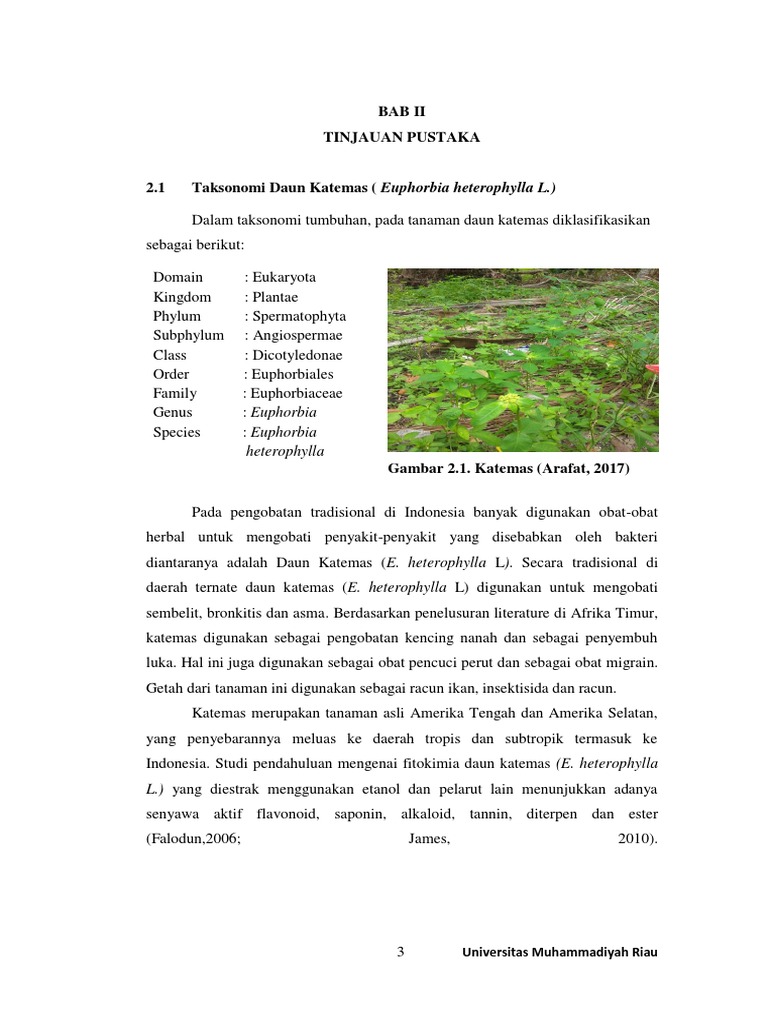 A68f1 12. Bab II - 2 | PDF