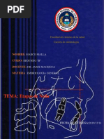 Estadios de Nolla | PDF | Diente | Esmalte de dientes