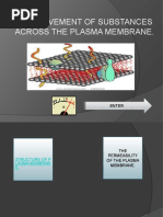 Plasma Membrane Movement Worksheet | PDF | Cell Membrane | Biotechnology