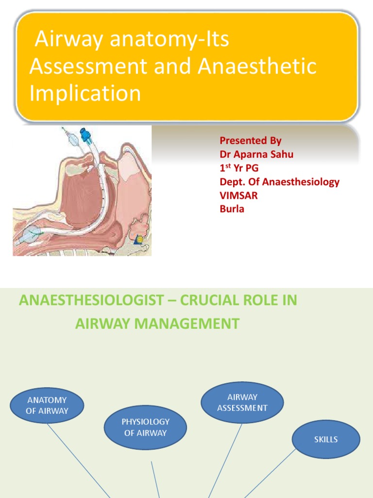 Airway Anatomy and Assessment | PDF | Larynx | Human Nose