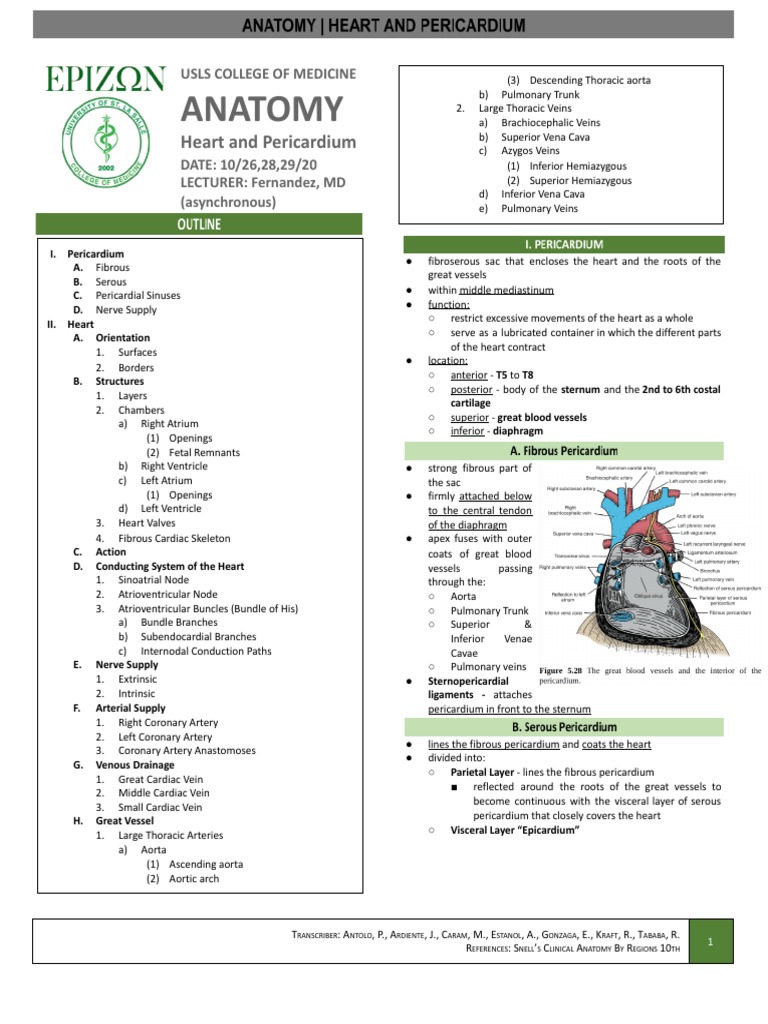 10 Heart and Pericardium | PDF | Heart Valve | Atrium (Heart)