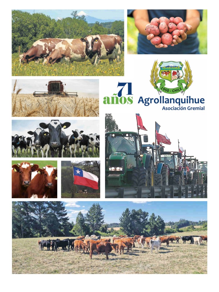 Agrollanquihue 26 Julio 23 - 39 | PDF | Agricultura | Economias