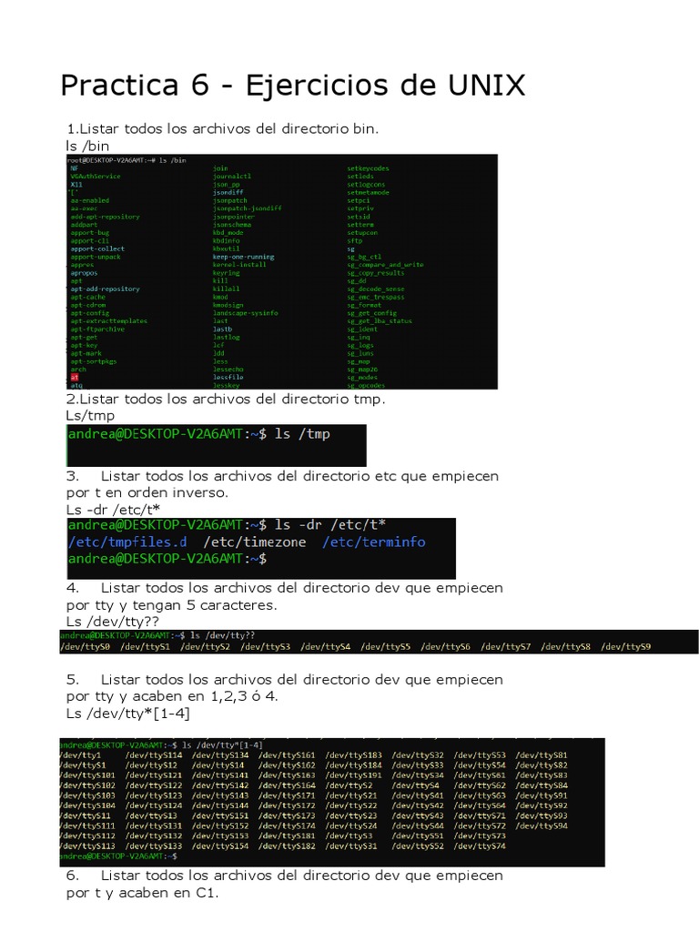 Ejercicios Prácticos de Comandos UNIX | PDF | Archivo de computadora | Sistema de archivos