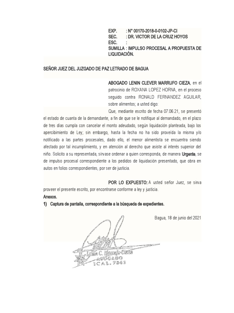 Impulso Procesal | PDF