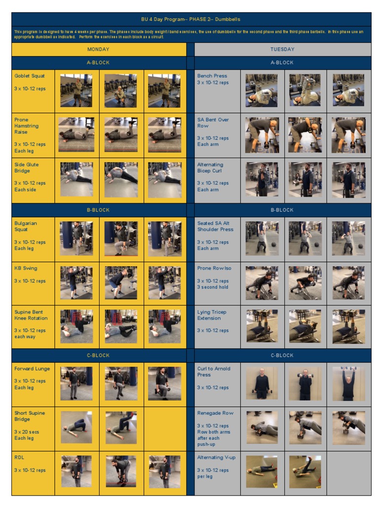 Bu D Day Dumbbell Program | PDF | Management Of Obesity | Physical Fitness