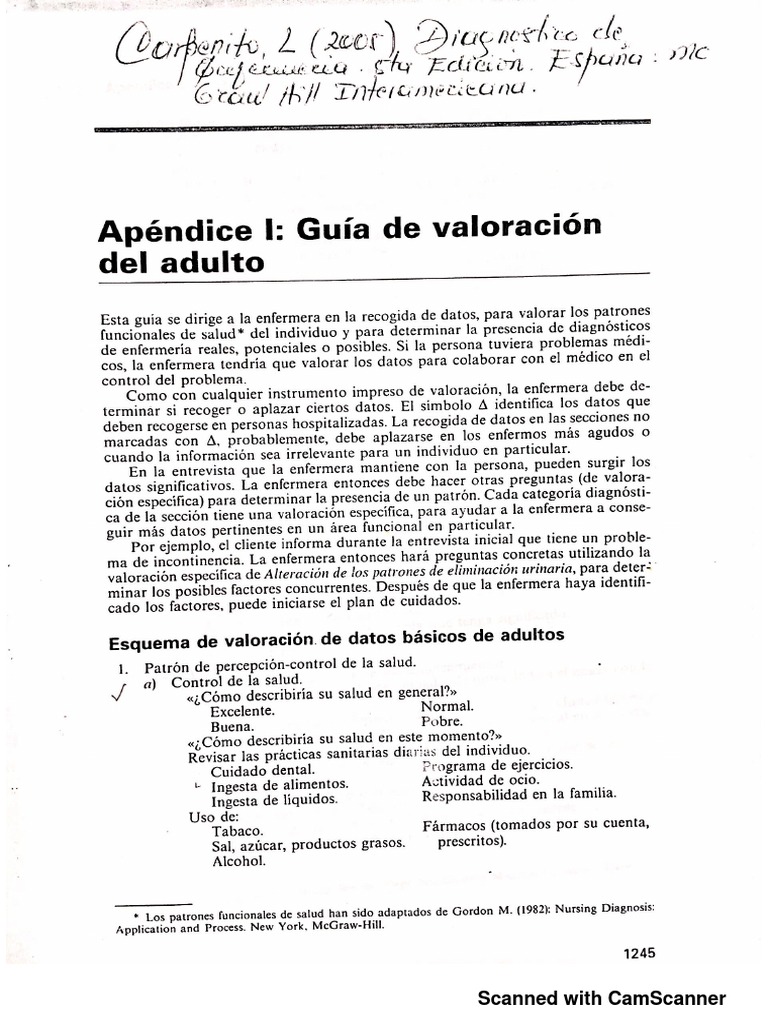 Apendice I, Guia de Valoracion Del Adulto. Carpenito - M. Gordon | PDF