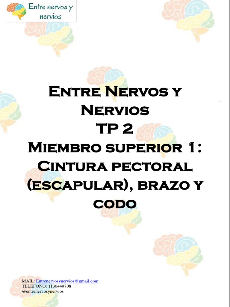 TP 2 Hombro y Codo | PDF | Hombro | Articulación
