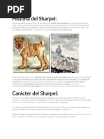 Morfología del perro: Graioides y Occipucio | PDF | Diente | Pastor alemán