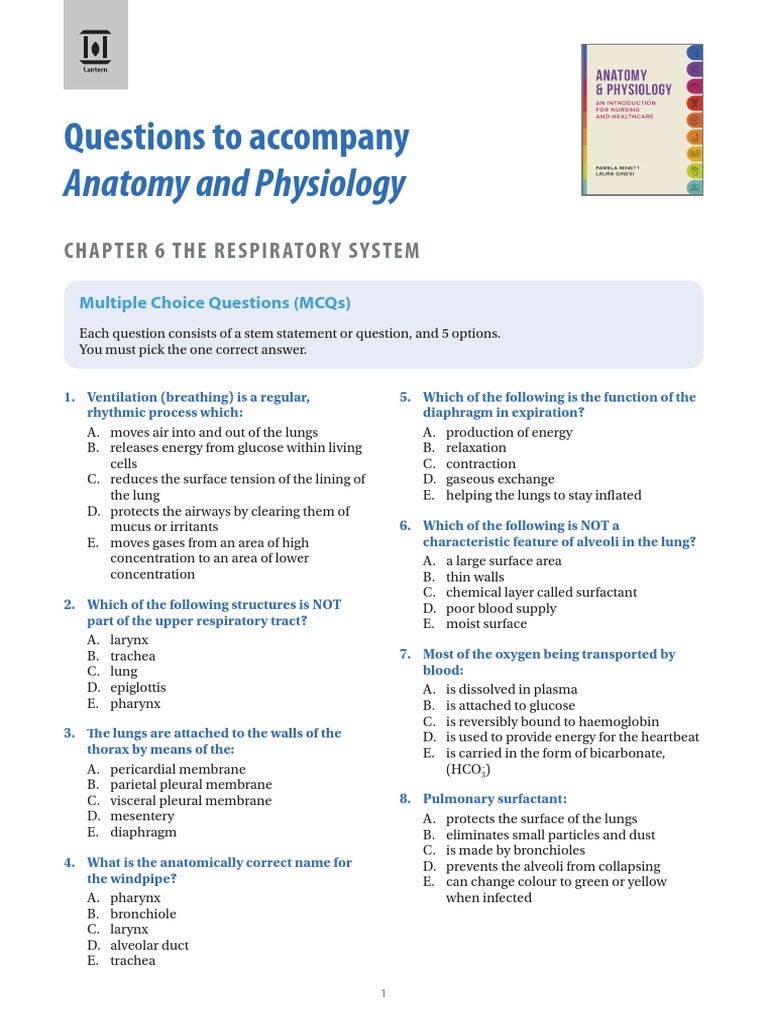 Self-Assessment Questions Chapter 6 The Respiratory System | PDF ...
