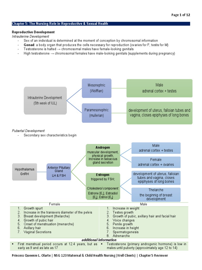 Chapter 5 - MCN Reviewer | PDF | Menstrual Cycle | Labia