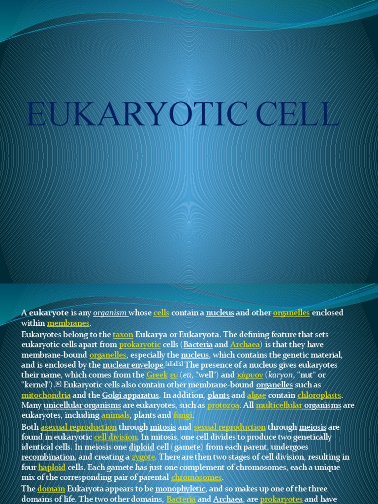 Eukaryotic Cell PowerPoint Presentation | PDF | Eukaryotes ...