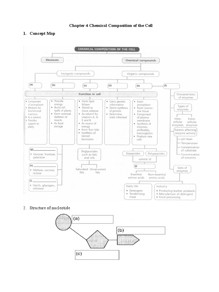 Chapter 4 Chemical Composition of The Cell | PDF | Fat | Fatty Acid