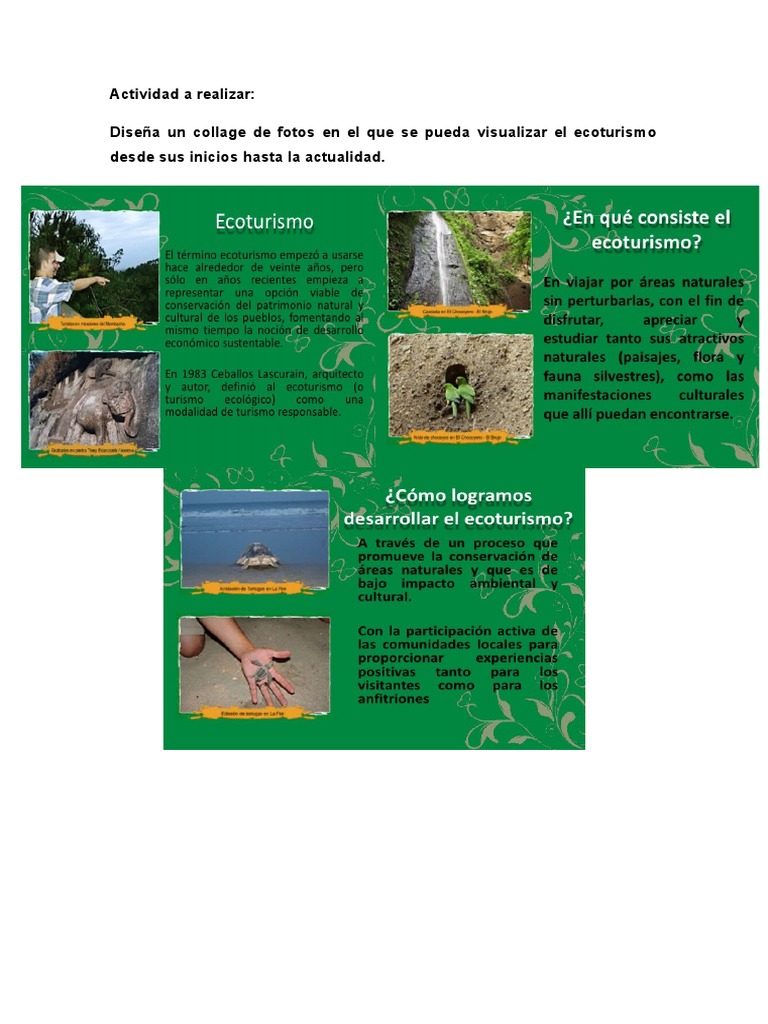 Collage de Ecoturismo: Historia Visual | PDF | Arte