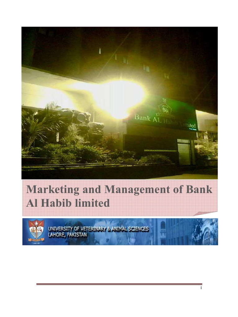 Bank Al Habib Best | PDF