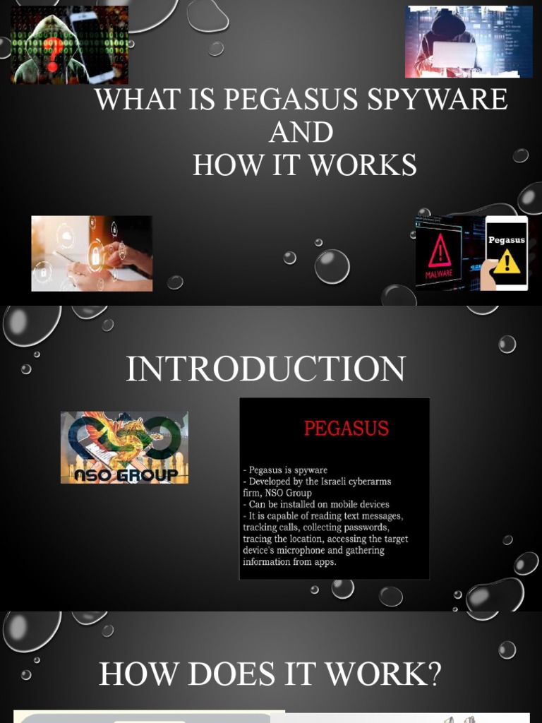What Is Pegasus Spyware | PDF