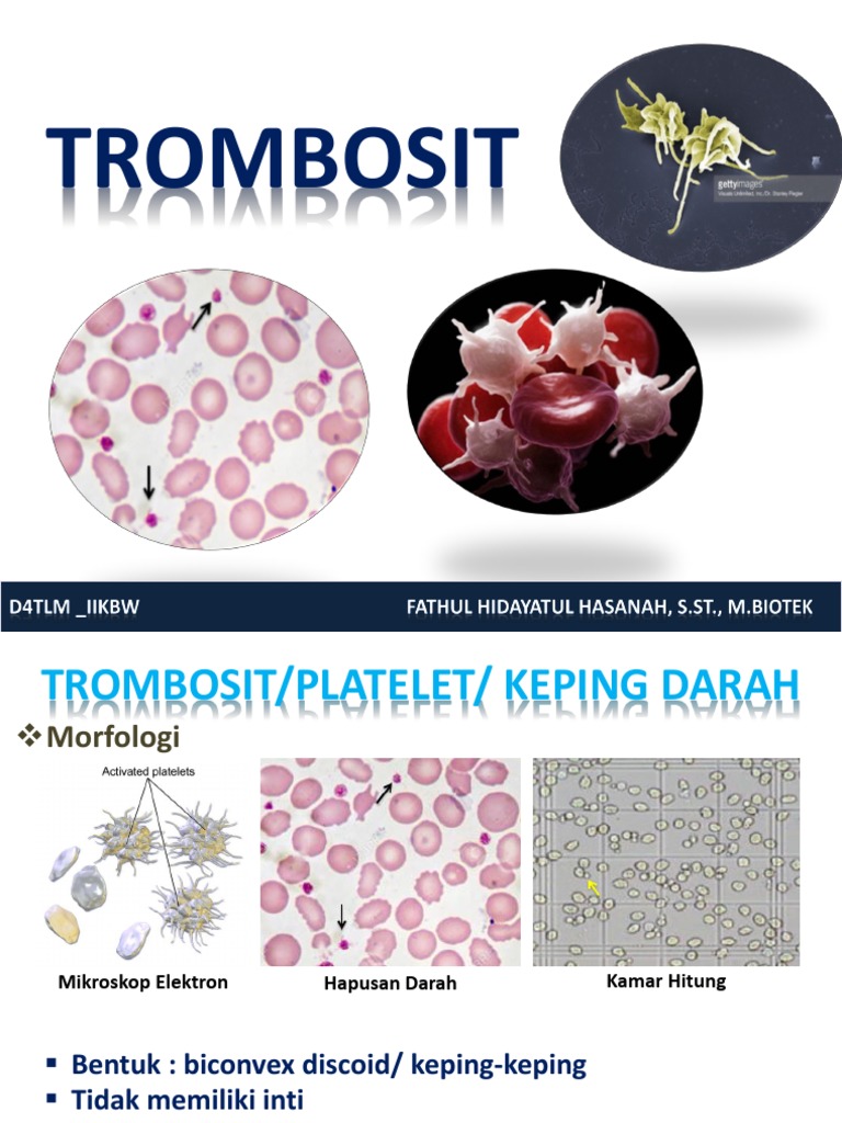 4 Trombosit | PDF
