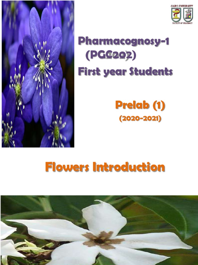 Prelab One-Flower Introduction | PDF | Flowers | Petal
