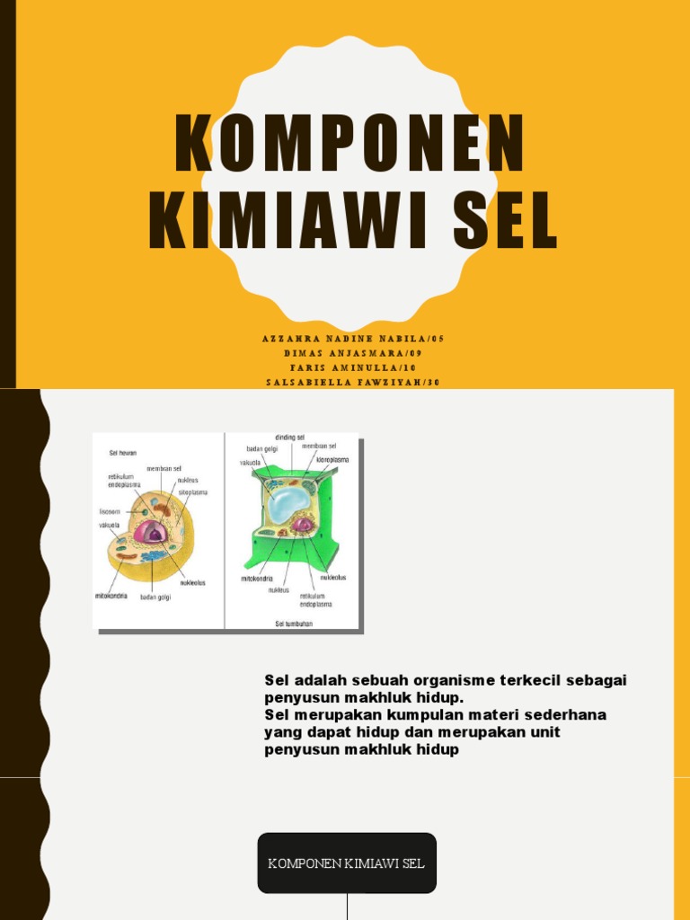 Komponen Kimiawi Sel | PDF