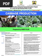 Covo Rugare Gold PLUS | PDF | Fertilizer | Seed