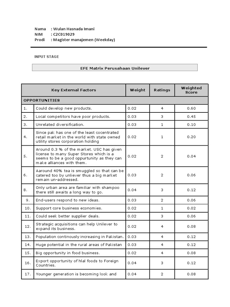 Wulan Hasnada - C2C019029 - INPUT MATCHING DECISION MATRIKS | PDF ...