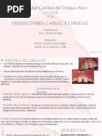 Vulvoplastia | PDF | Vagina | Especialidades Medicas