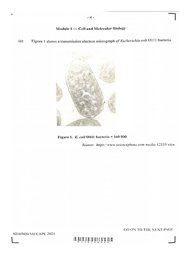 2021 Cape Biology U1 p2 | PDF