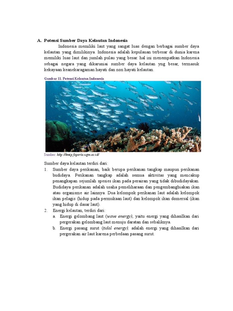 Potensi Sumber Daya Kelautan Indonesia | PDF