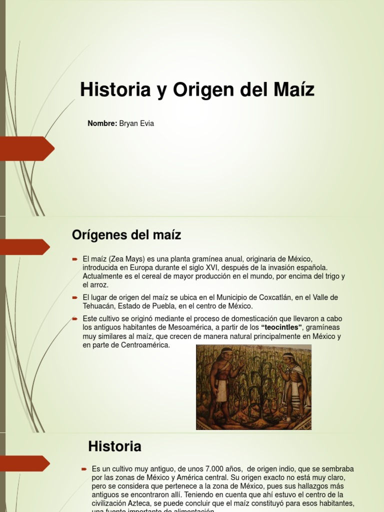 Antecedentes Del Maíz