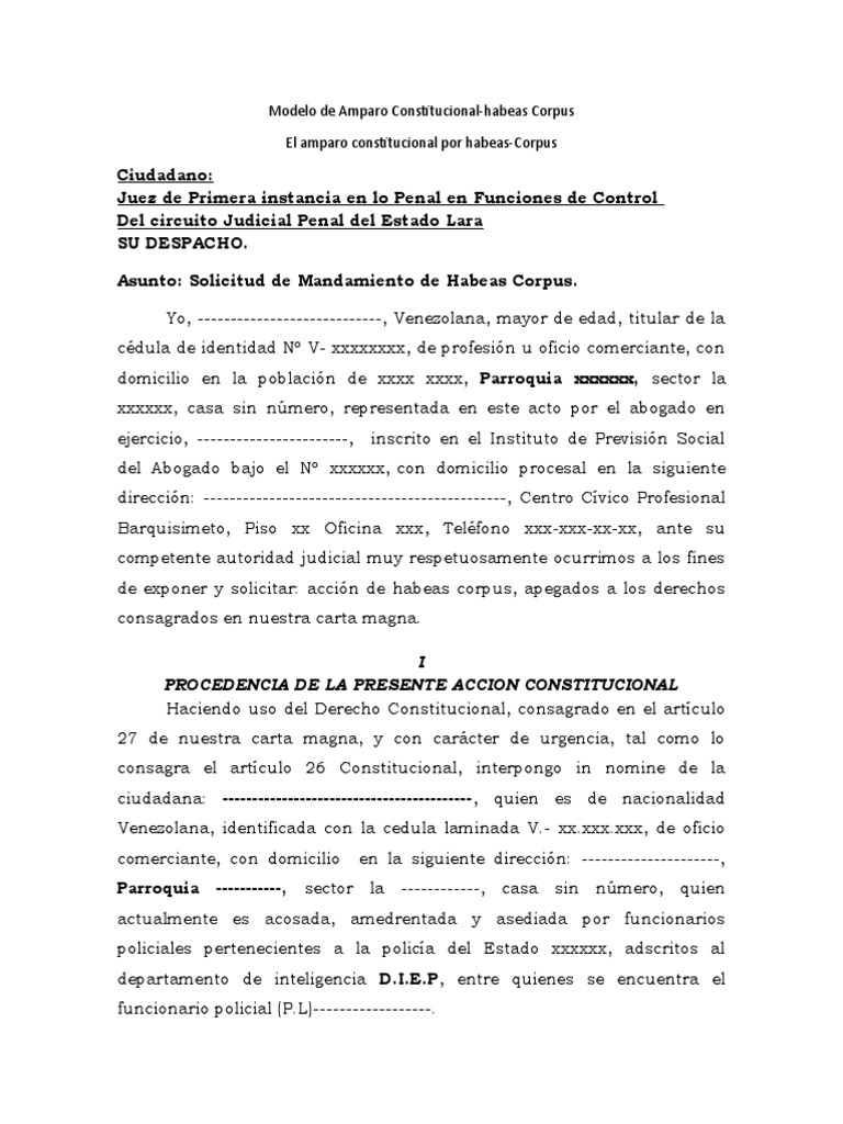 Modelo de Amparo Constitucional | PDF | Habeas corpus | Ley Pública