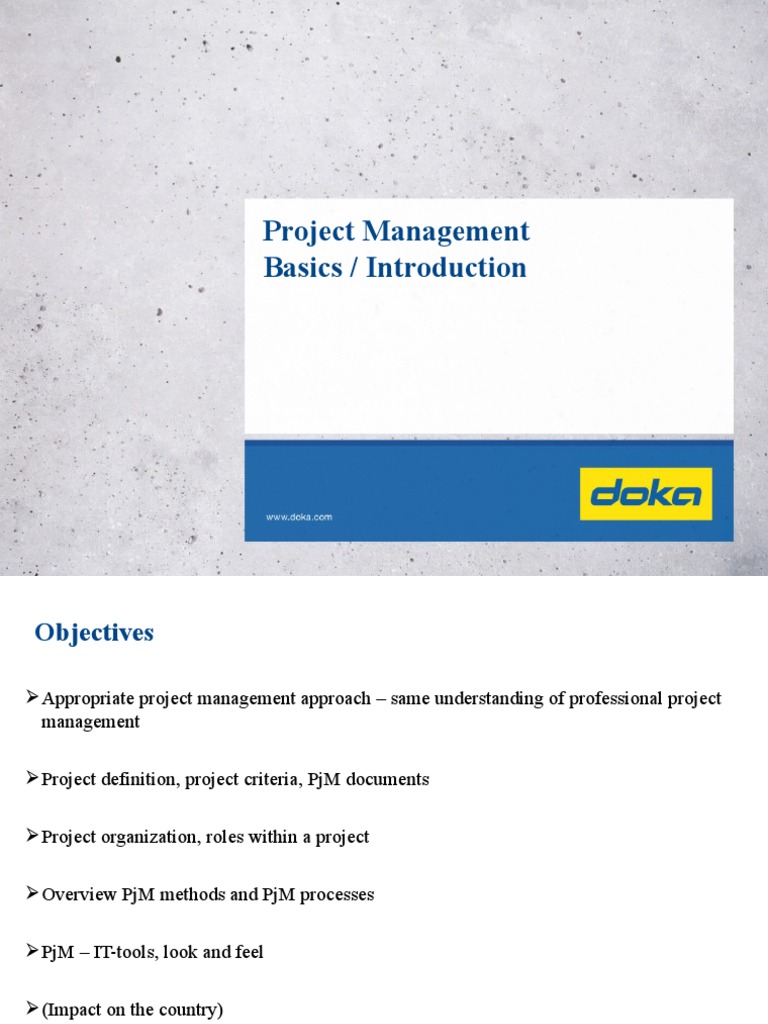 Project Management Basics / Introduction | PDF | Project Management | Sales