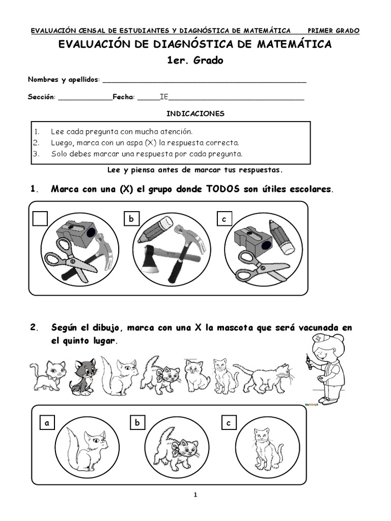 Prueba Diagnostica 1° Grado - Matematica | PDF | Naturaleza