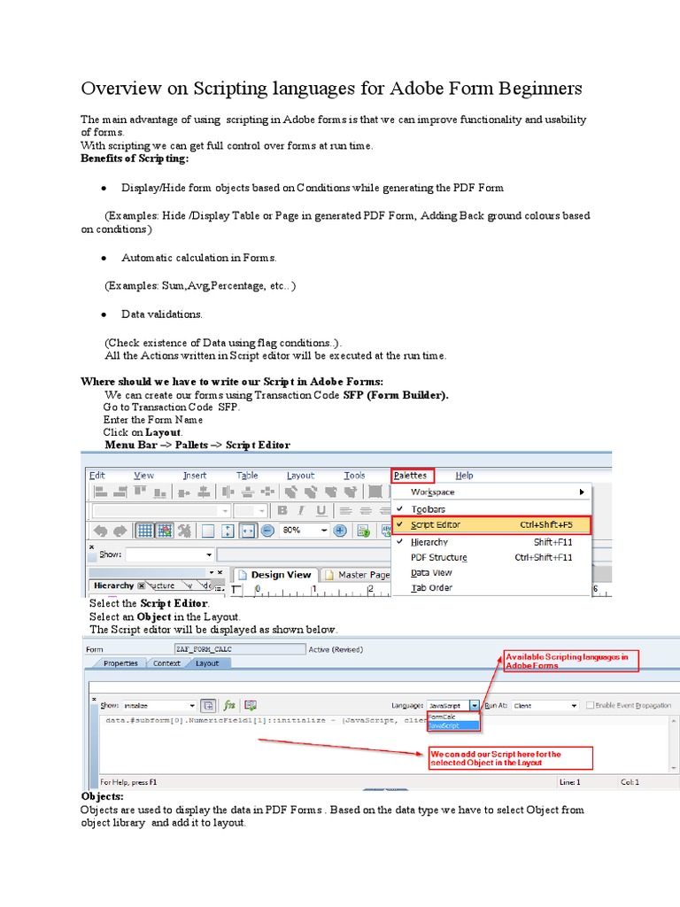 Adobe Form Scripting Overview | PDF | Computers