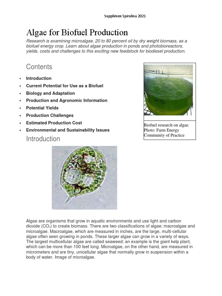 Algae For Biofuel Production Mohsin2021 | PDF | Algae Fuel | Biofuel