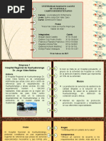 Campus Upc Monterrico - Mapa Accesibilidad | PDF