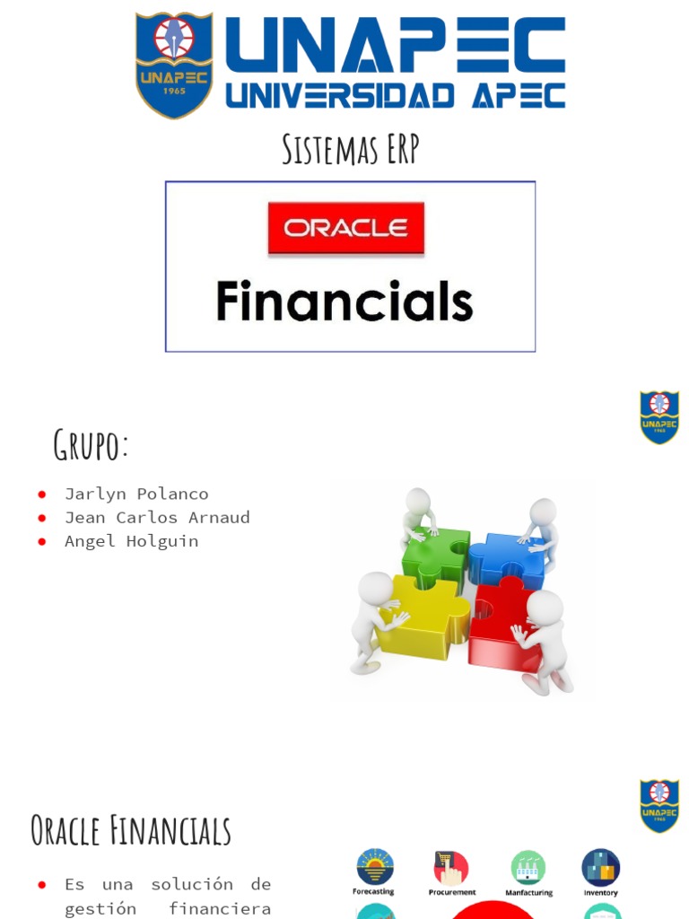 Oracle Financials ERP | PDF | Planificación de recursos empresariales ...