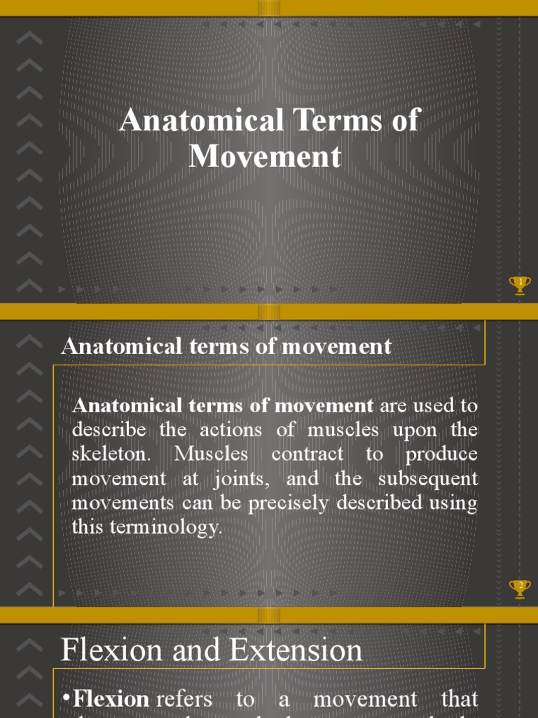 Key Anatomical Movement Terms | PDF | Anatomical Terms Of Motion ...
