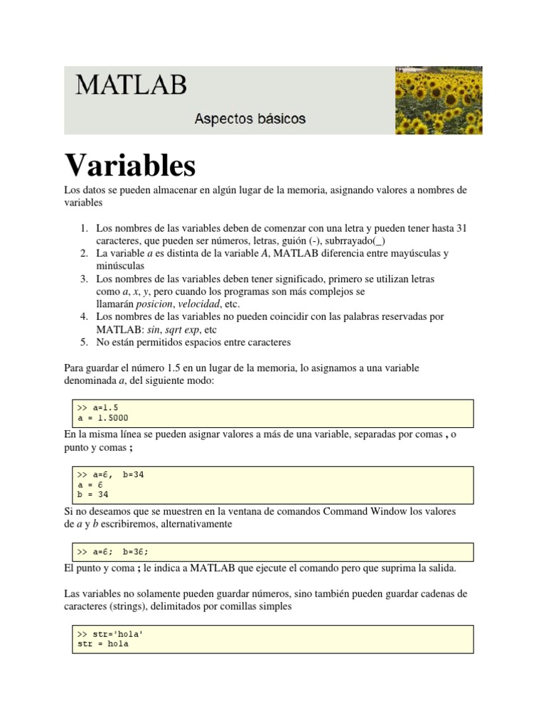 Variables en Matlab | PDF | Variable (informática) | Cursor (interfaz ...