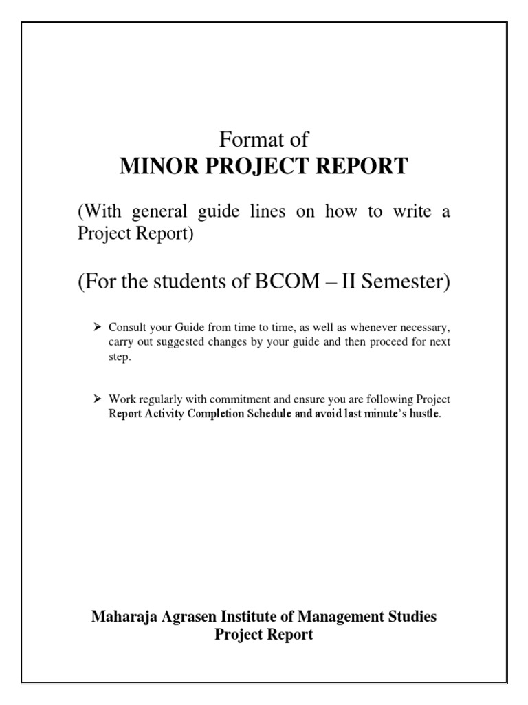 Updated Minor Project Guidelines BCOM112 | PDF | Corporate Social ...