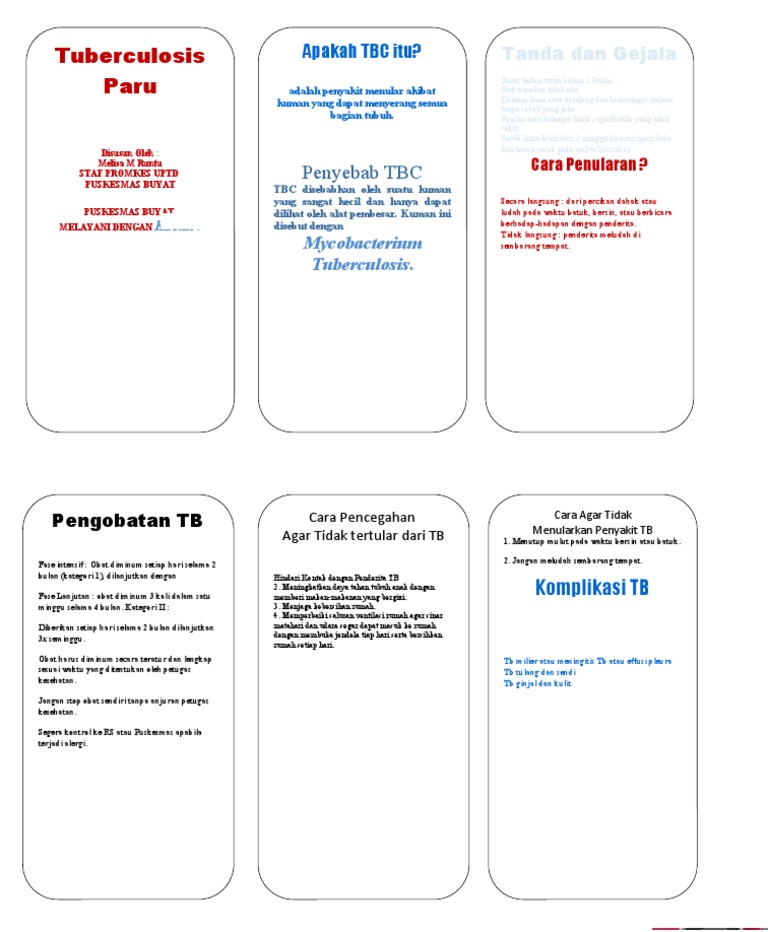 Leaflet-Tb Paru | PDF