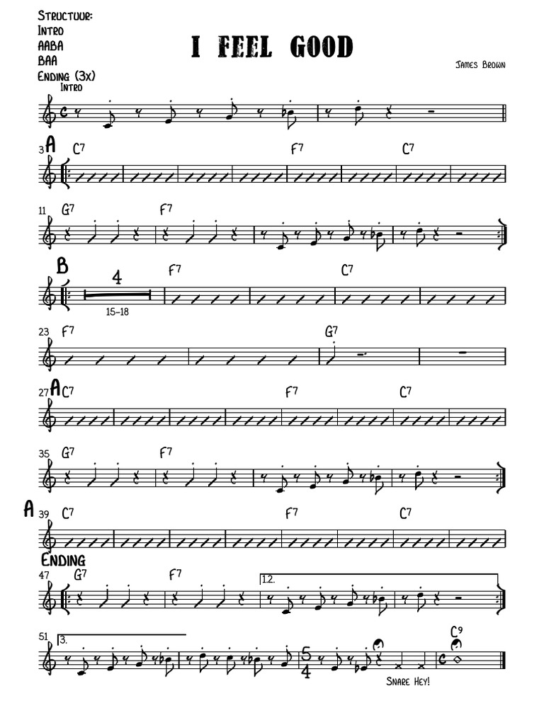 I Feel Good - Lead Sheet | PDF
