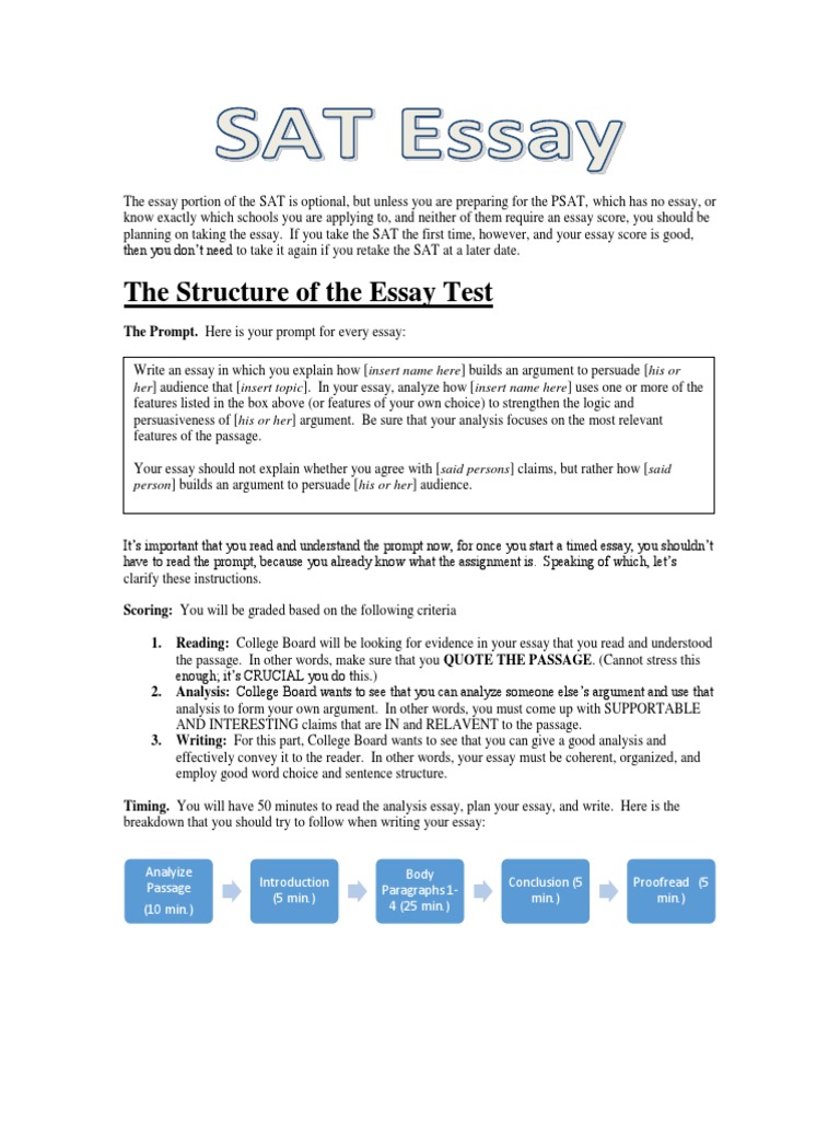 The Structure of The Essay Test | PDF | Essays | Science