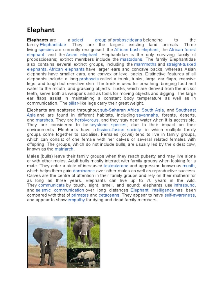 Research Paper On Elephant | PDF | Elephant | Mammals