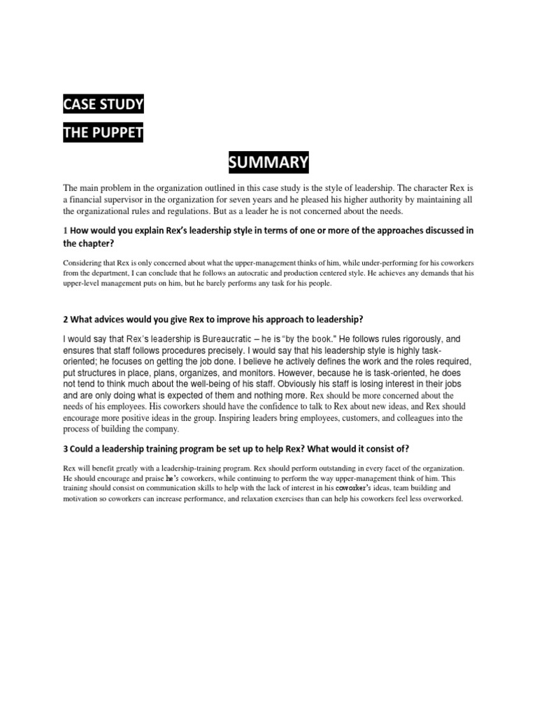 Case Study The Puppet | PDF