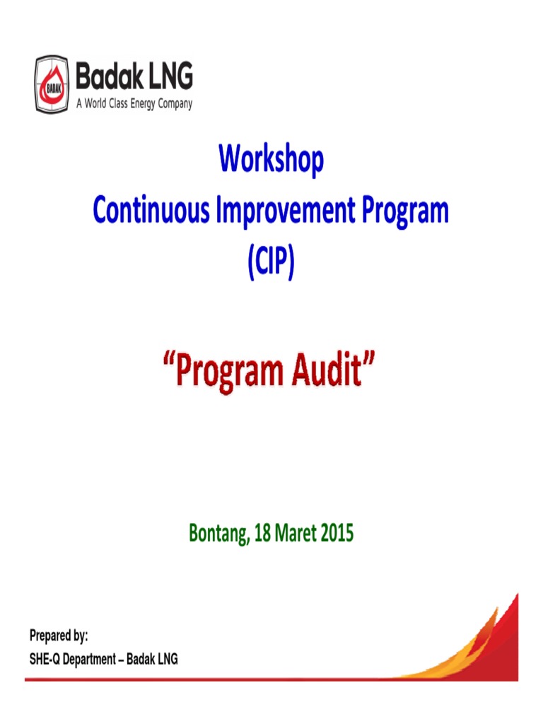 Workshop CIP PTB - 5, Audit CIP | PDF