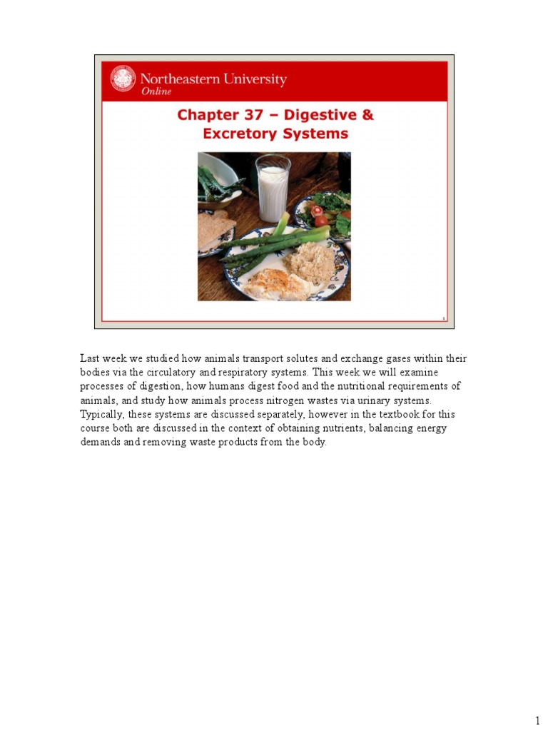 Lecture 14 - Chapter 37 Digestive & Excretory Systems | PDF | Digestion ...
