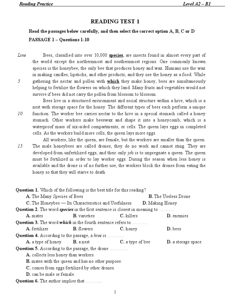 Reading Test 1 | PDF | Honey Bee | Memory