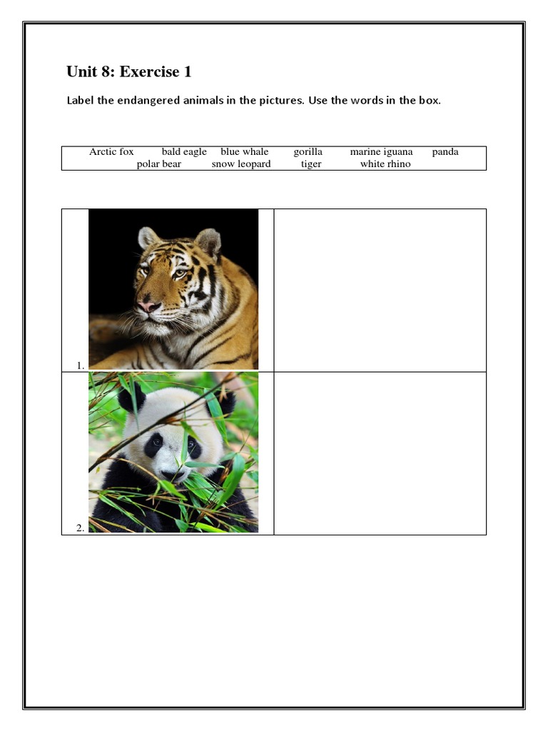 Unit 8: Exercise 1: Label The Endangered Animals in The Pictures. Use ...