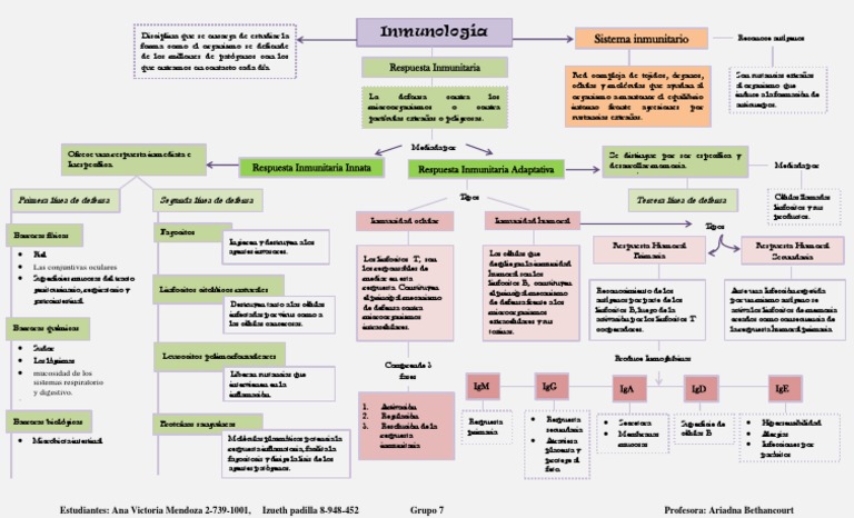 Mapa Conceptual del Sistema Inmunológico | PDF | Inmunidad humoral ...