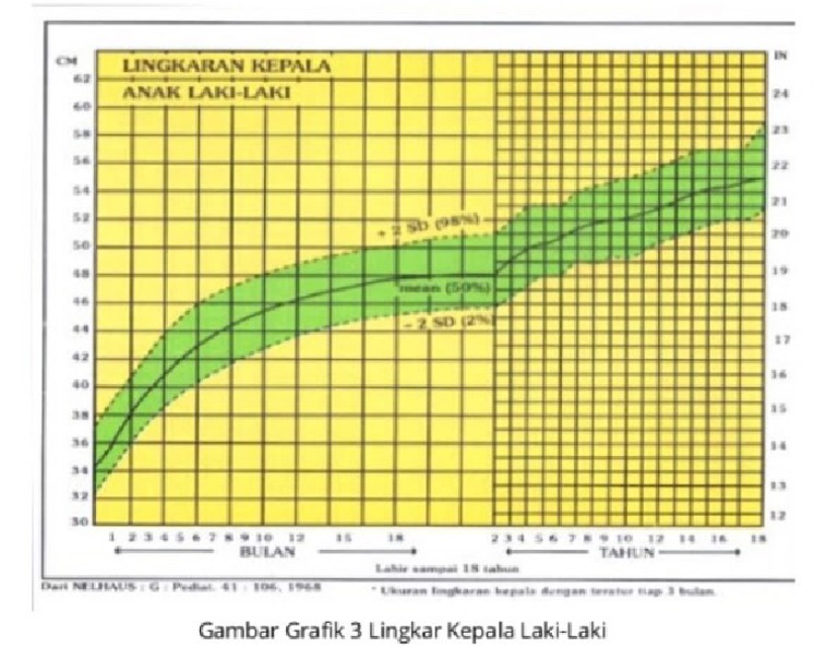 Grafik LK Anak Laki-Laki | PDF