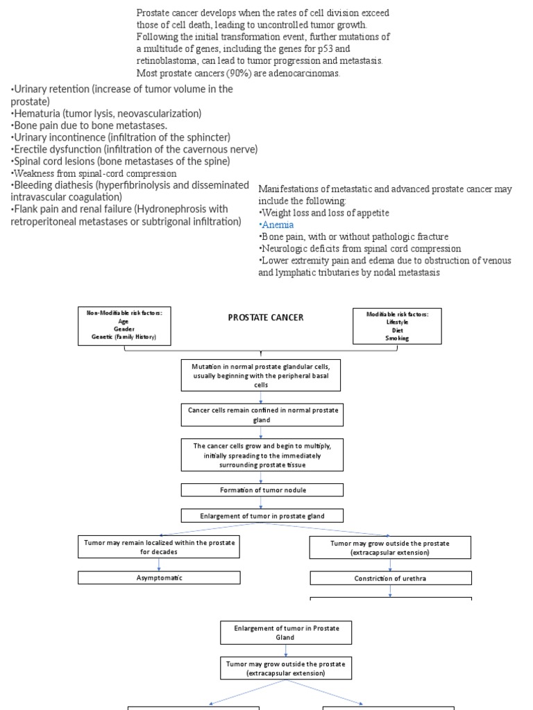 Prostate Cancer Pathophysiology Flowchart | PDF | Prostate Cancer ...